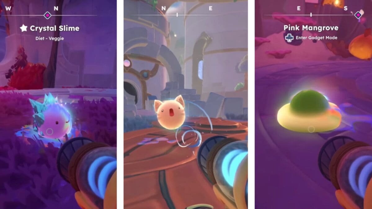 Slime Rancher 2 - How To Find All 9 Guaranteed Radiant Slimes ...